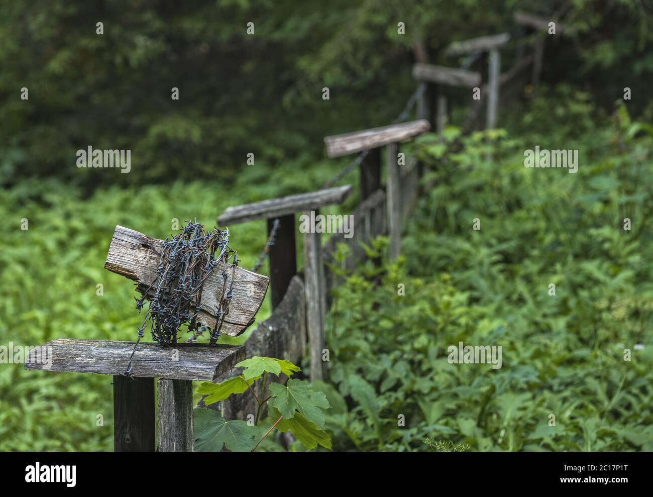 Green barrier hi-res stock photography and images - Alamy