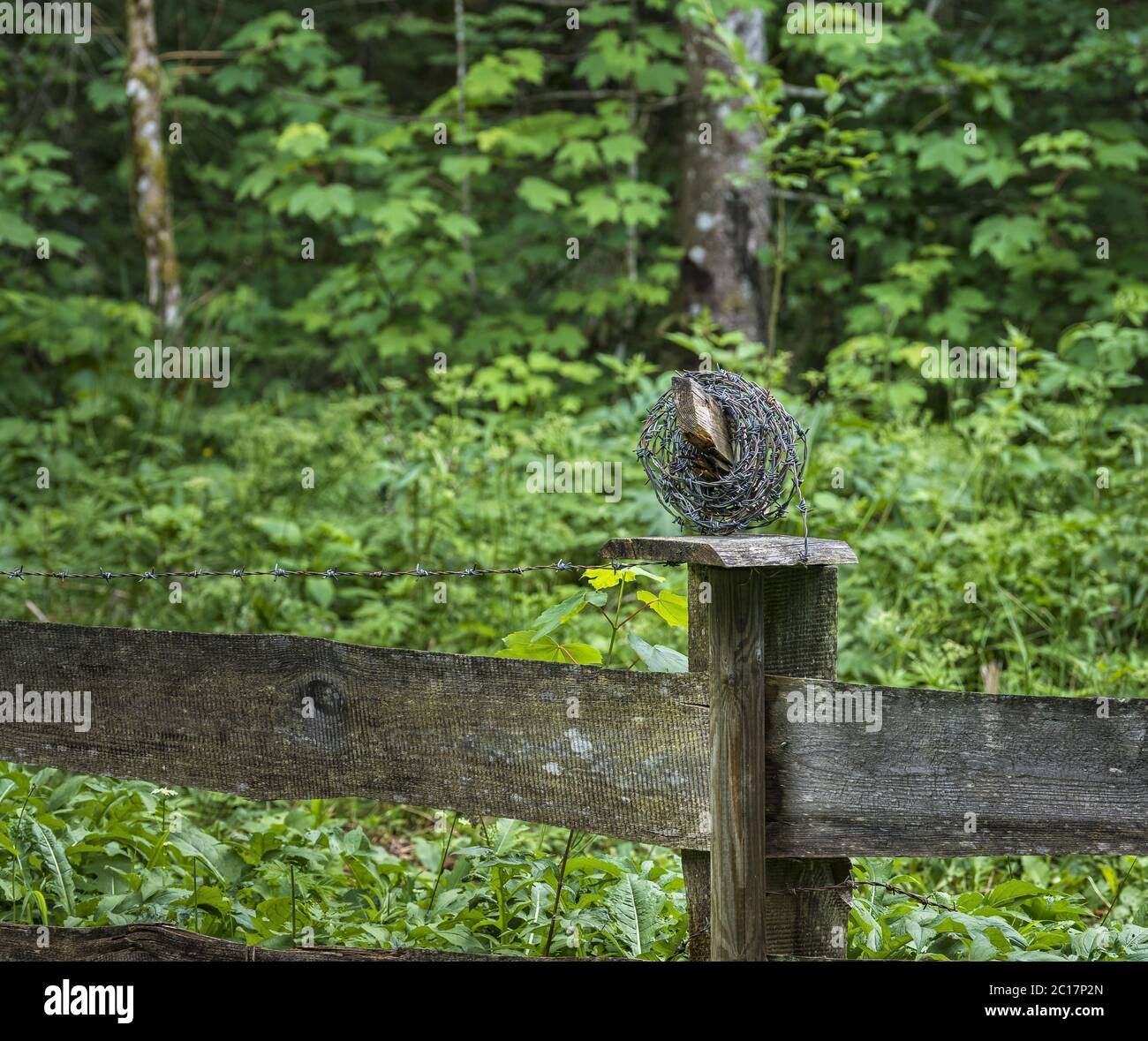 Green barrier hi-res stock photography and images - Alamy