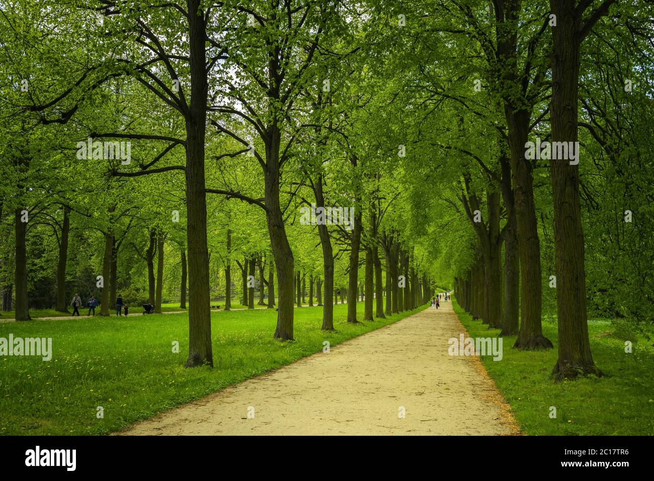 Path in the park Stock Photo - Alamy