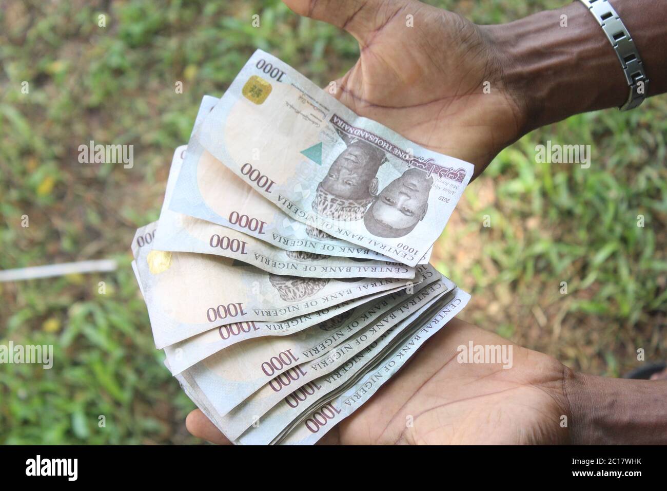 Cropped Hand Of Person Holding Of Nigeria Paper Currency of 1000 Naira ...