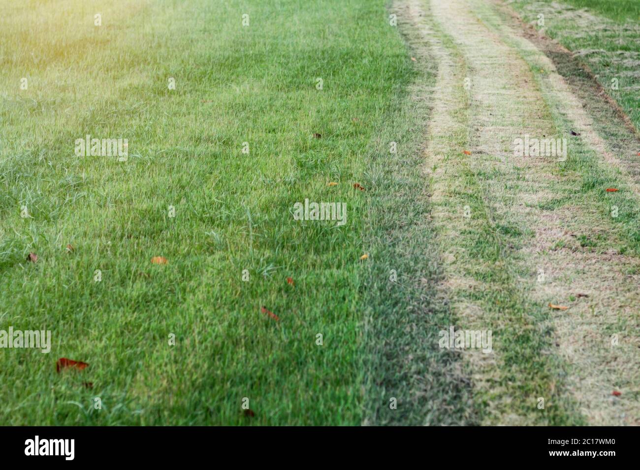 Lawn grass cut pattern garden hi-res stock photography and images - Alamy