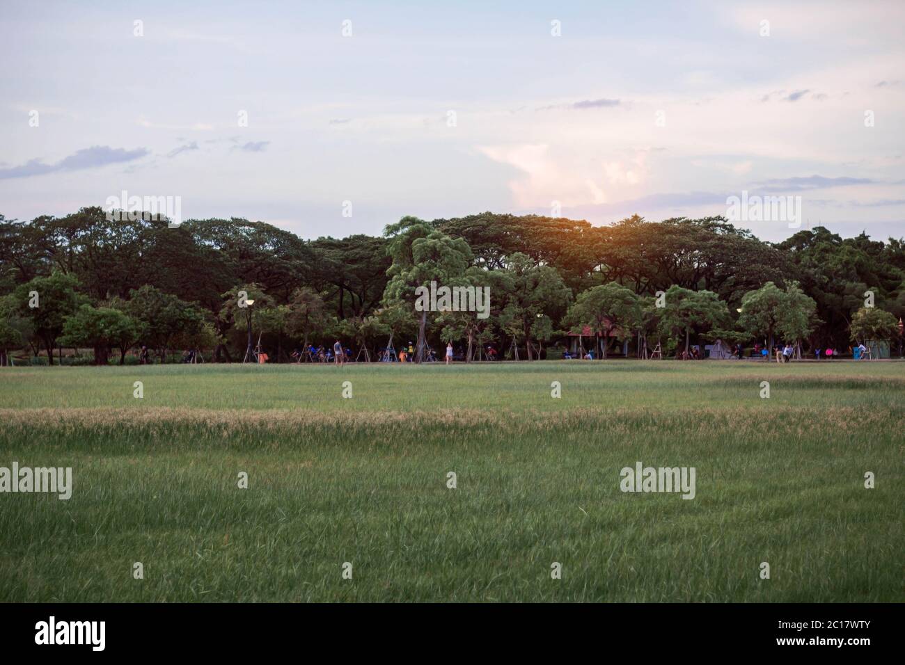 Park grass lawns hi-res stock photography and images - Alamy