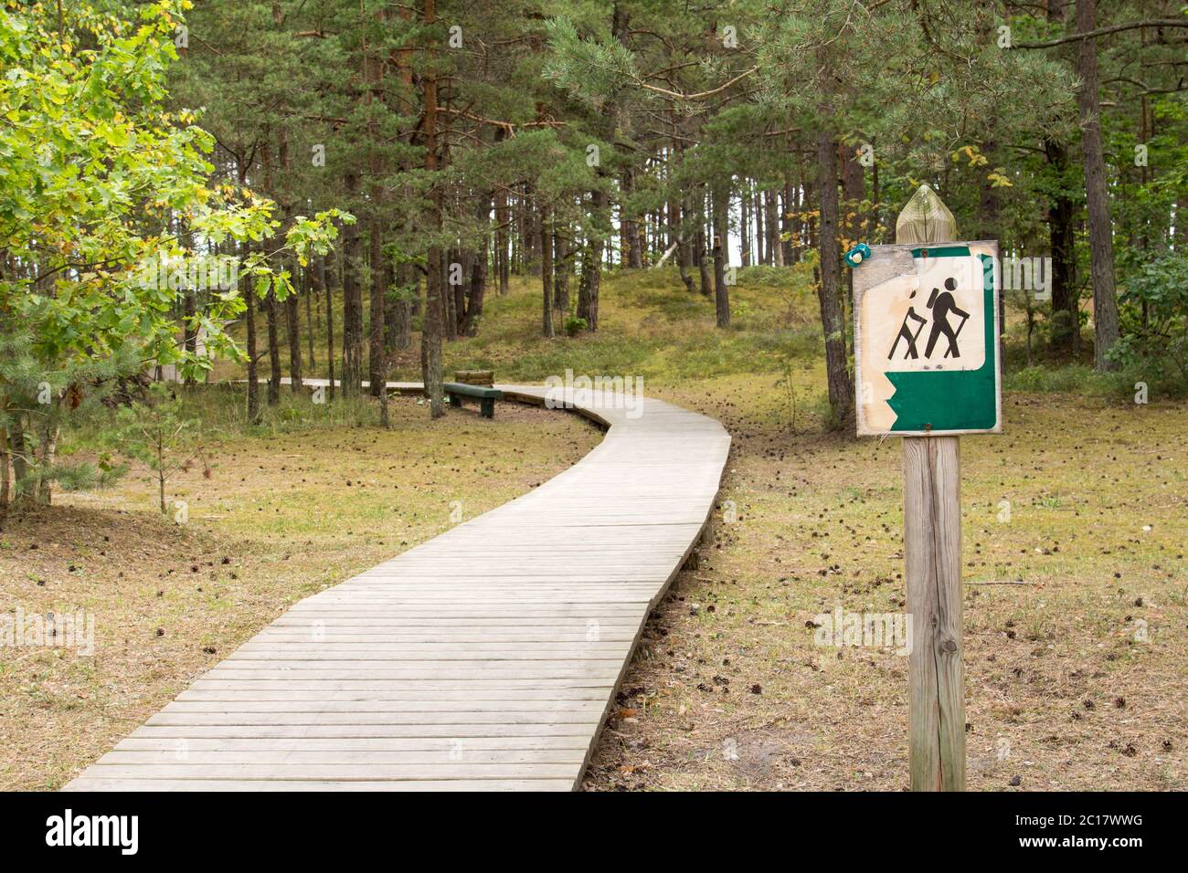 Wooden path in the forest Stock Photo - Alamy