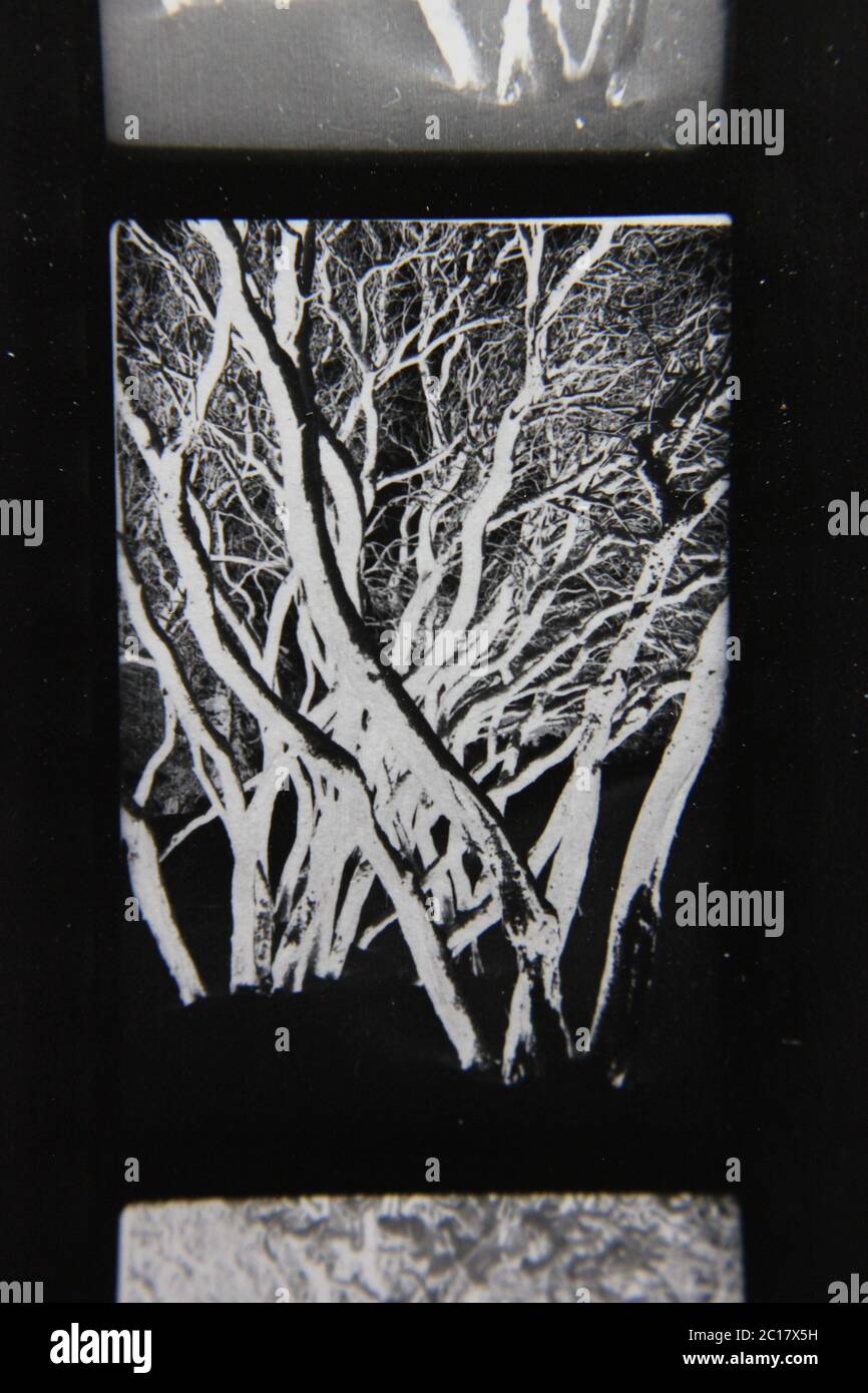 Fine 70s vintage contact print black and white extreme photography of a ...