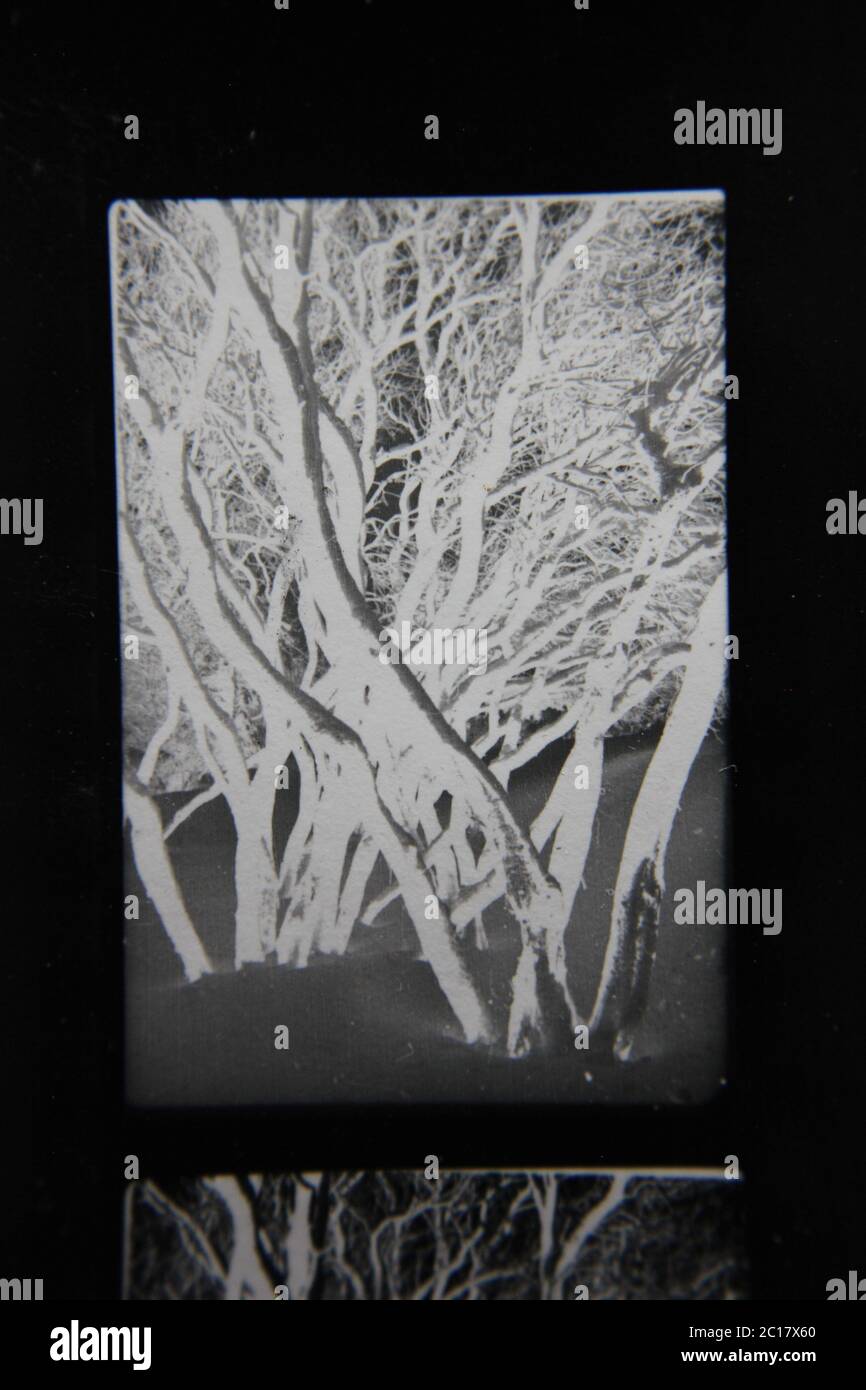 Fine 70s vintage contact print black and white extreme photography of a ...