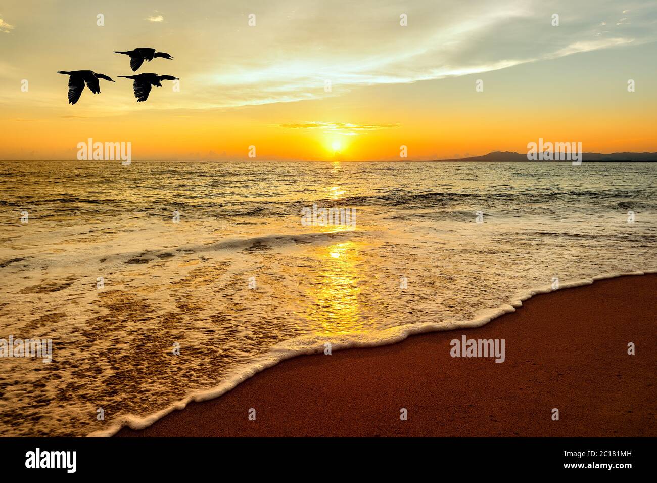 A Group of Birds are Flying Toward a Bright Yellow Sun Stock Photo - Alamy