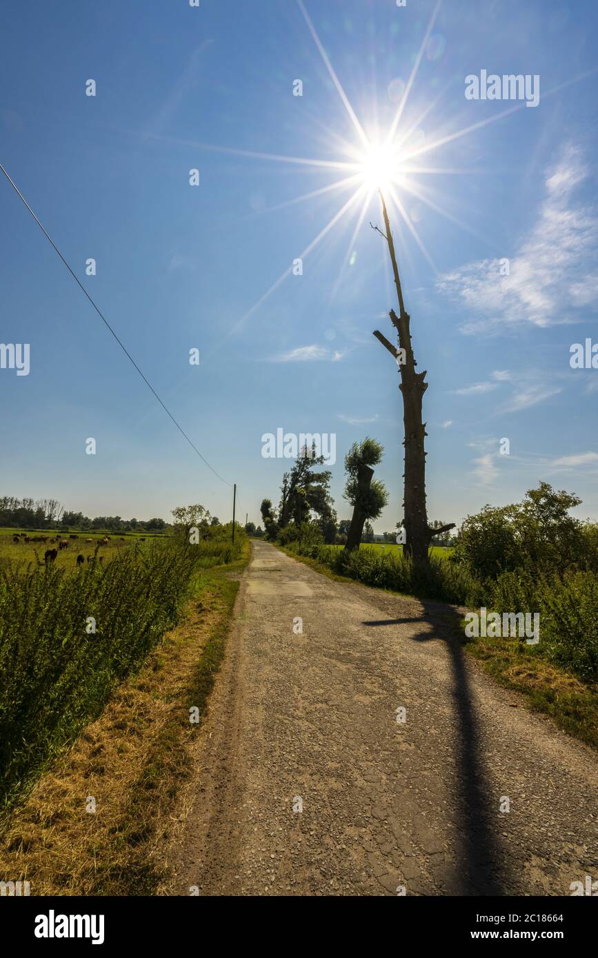 Country road at noon Stock Photo - Alamy