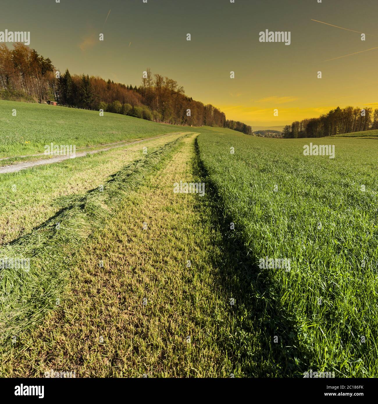 Narrow dirt path grass hi-res stock photography and images - Alamy