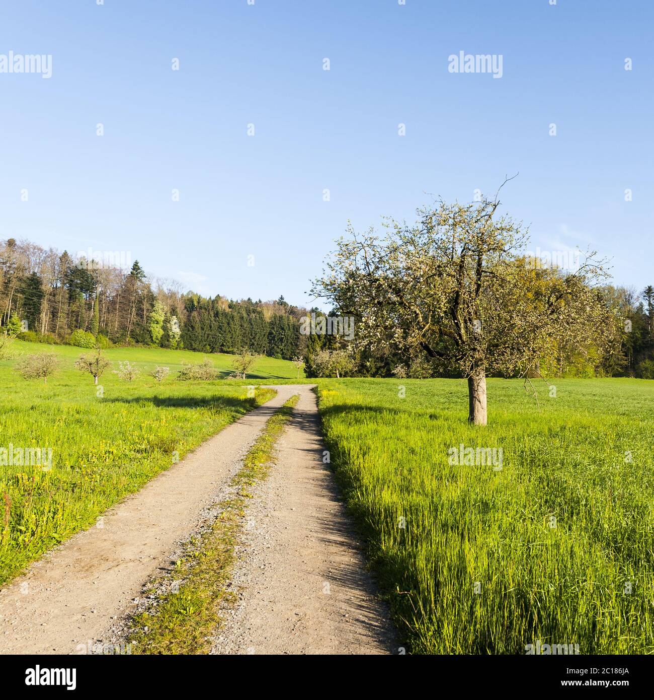 Haze between alps mountains hi-res stock photography and images - Alamy
