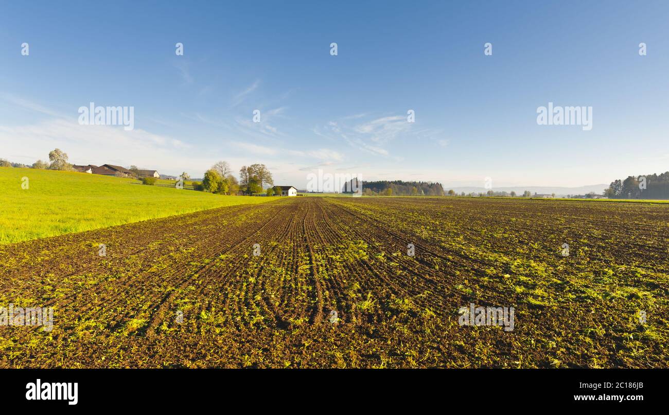 Swiss fields hi-res stock photography and images - Alamy