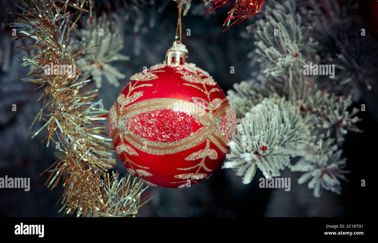 Christmas Tree Branch Stock Photo - Alamy