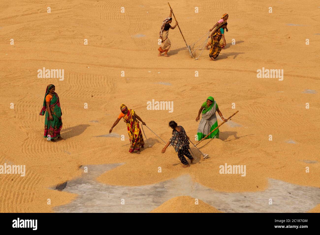 Aerial view of woman working in rice processing factory Stock Photo - Alamy