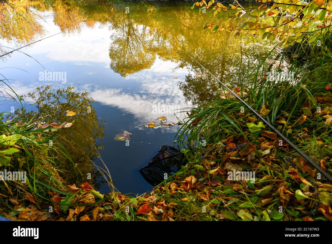 Water trees and clouds hi-res stock photography and images - Alamy