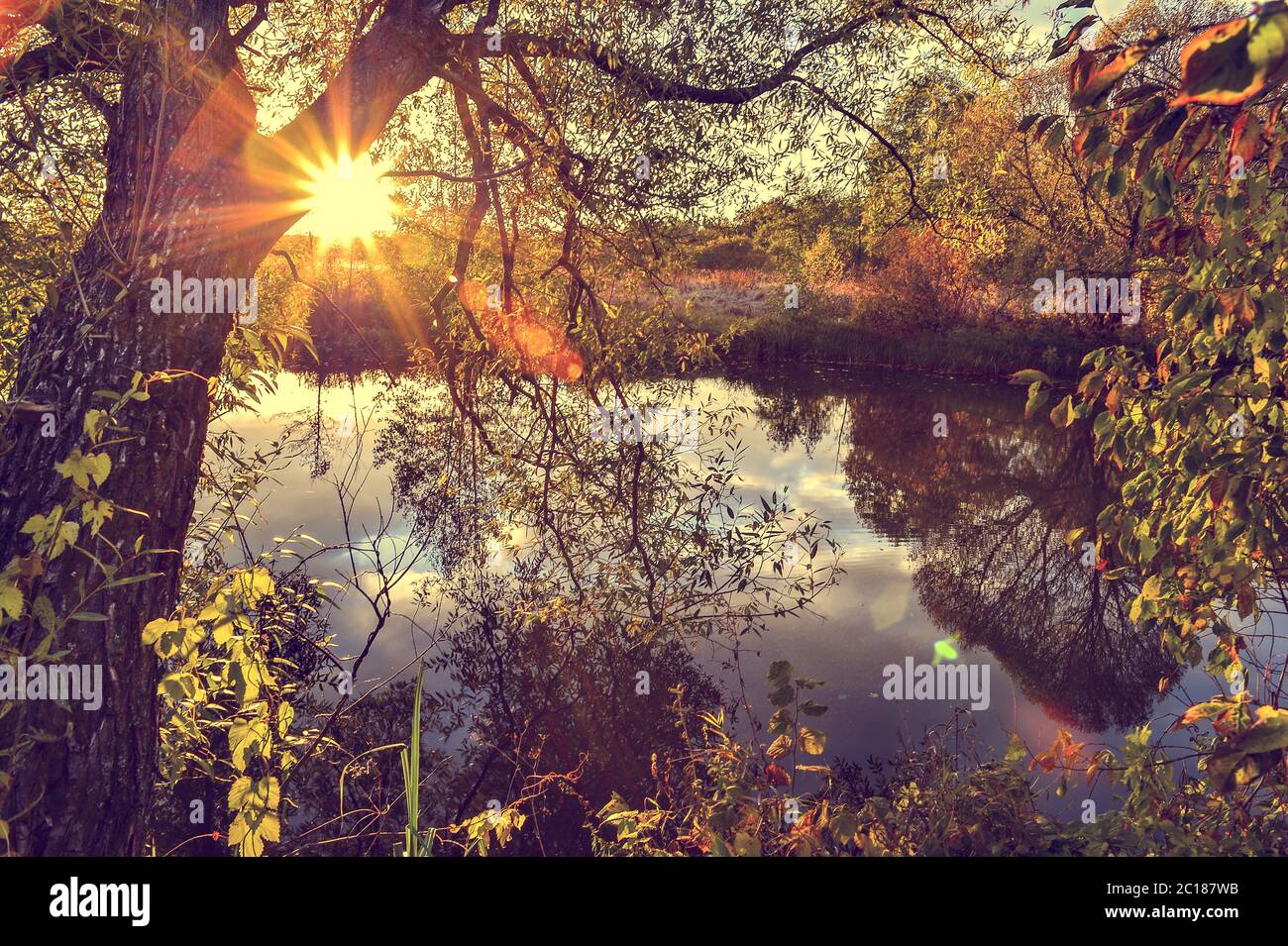 Colorful autumn landscape on a sunny day with trees with water and ...