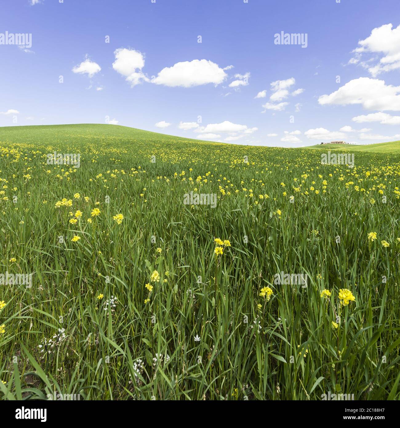 Fields and pastures hi-res stock photography and images - Alamy