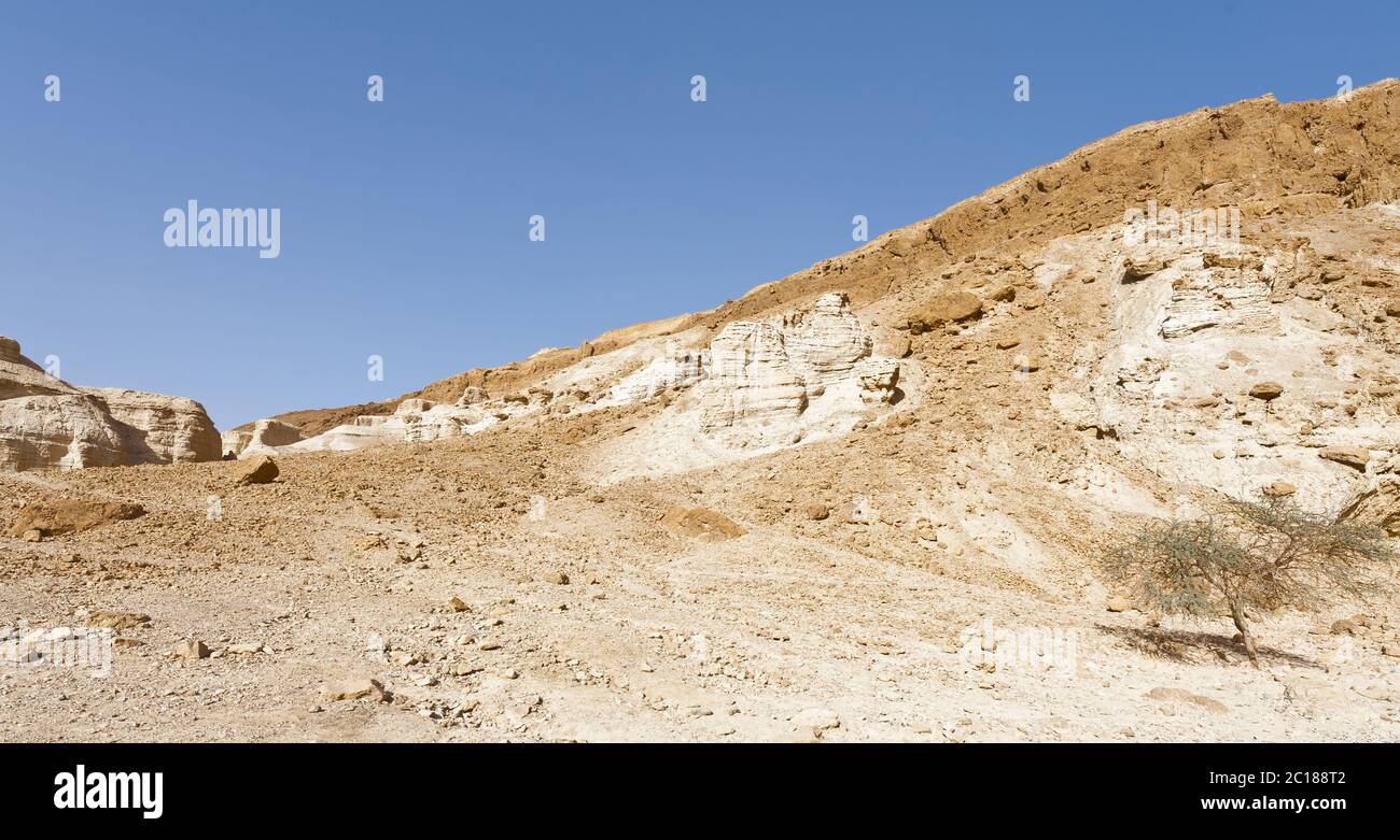 Stone desert in Israel Stock Photo - Alamy
