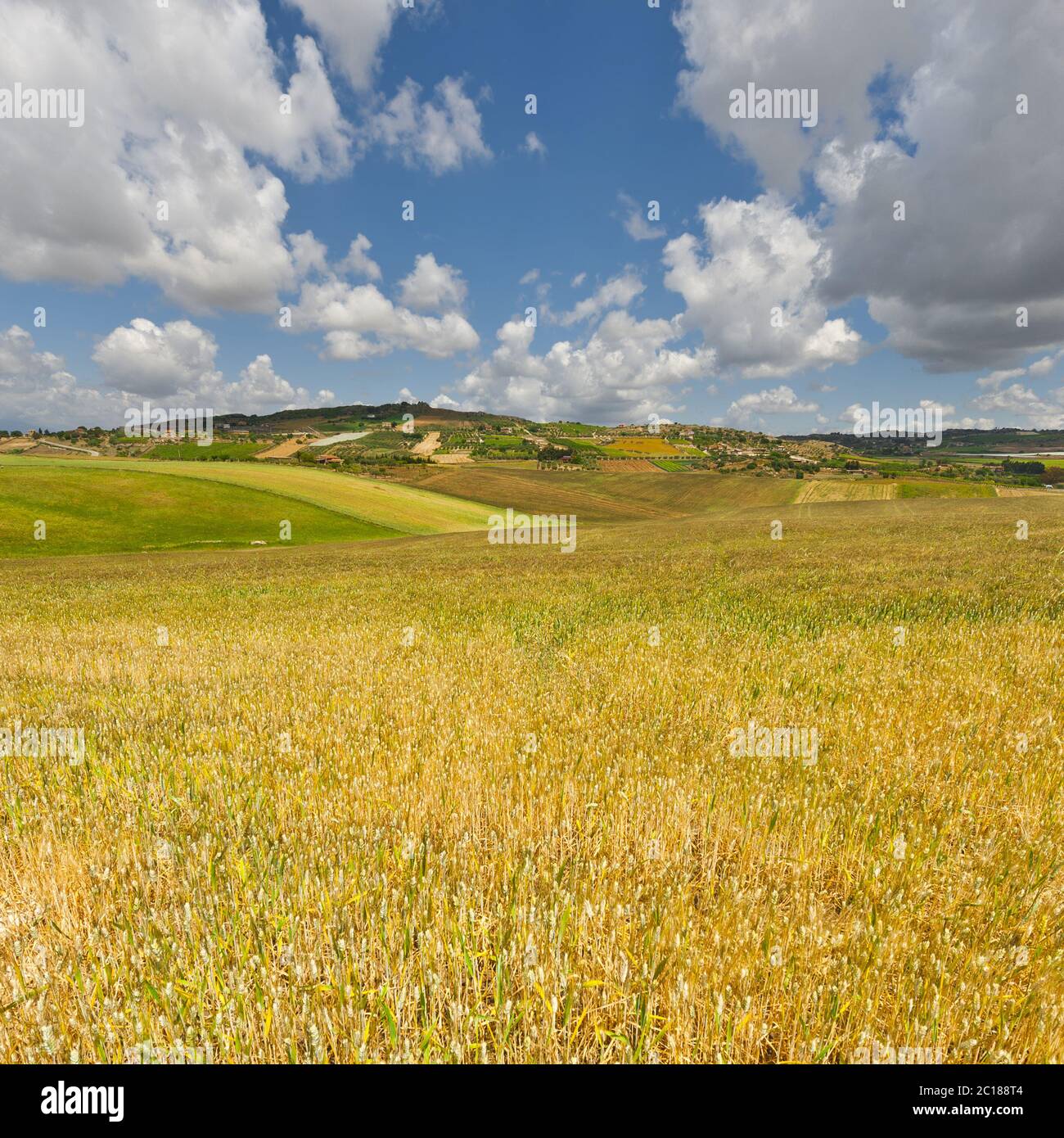 Wheat and mountains hi-res stock photography and images - Alamy