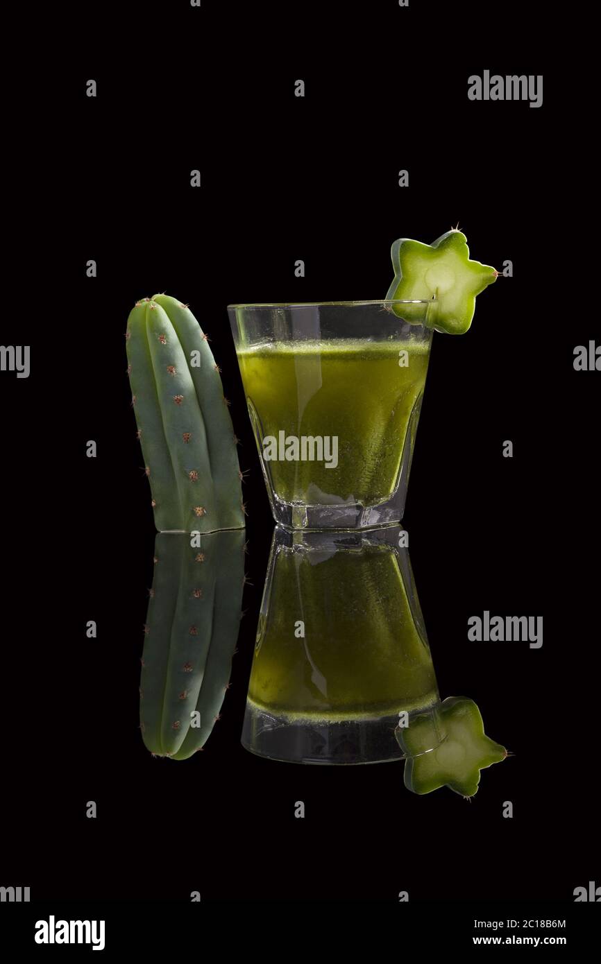 San pedro cactus hi-res stock photography and images - Alamy