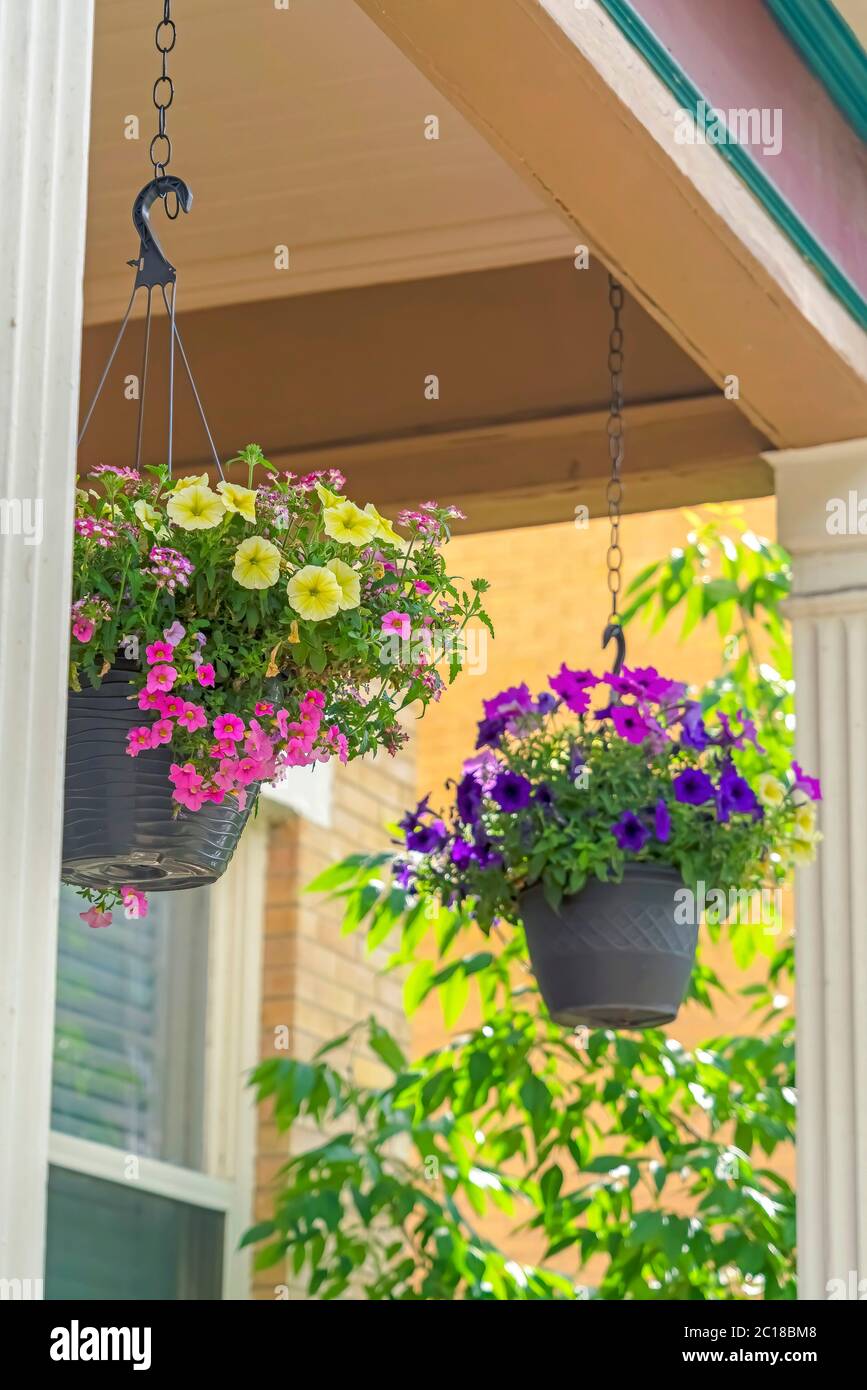 Chain Hanging Flower High Resolution Stock Photography and Images - Alamy