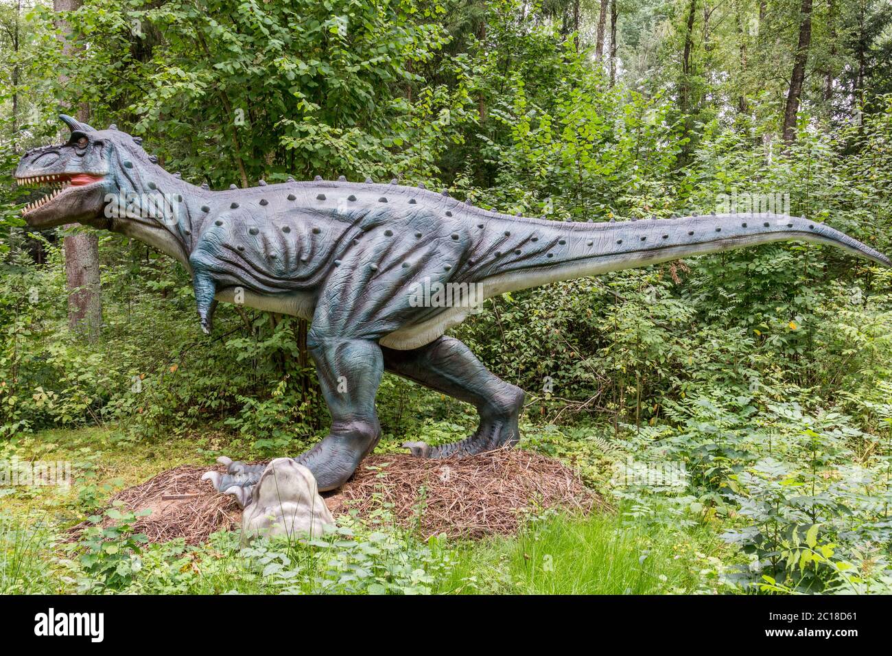 Hunt and roaring of dinosaur Stock Photo - Alamy