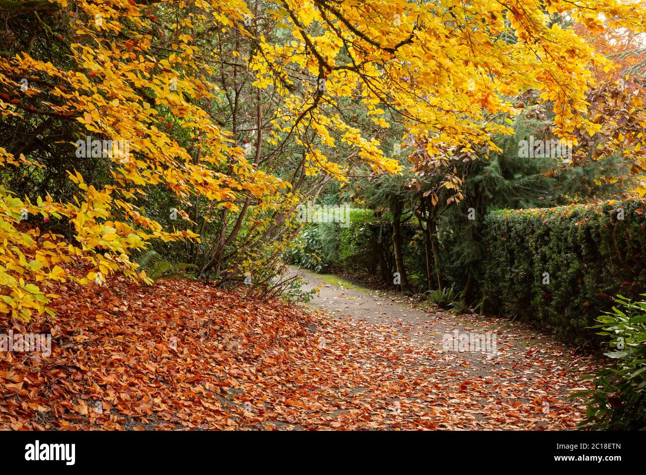 Kubota gardens hi-res stock photography and images - Alamy Kubota gardens hi-res stock photography and images - Alamy