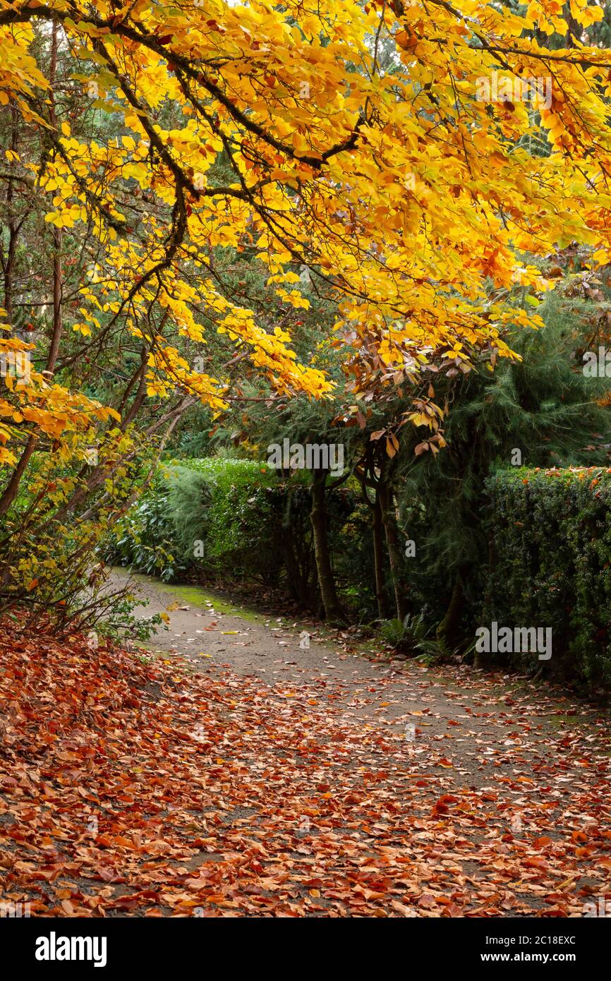 Kubota gardens hi-res stock photography and images - Alamy Kubota gardens hi-res stock photography and images - Alamy
