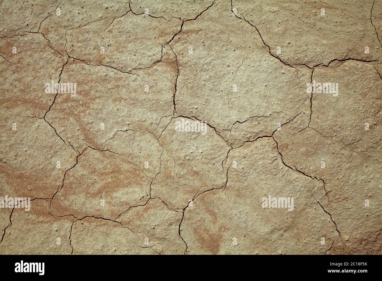 Cracked earth close-up Stock Photo - Alamy