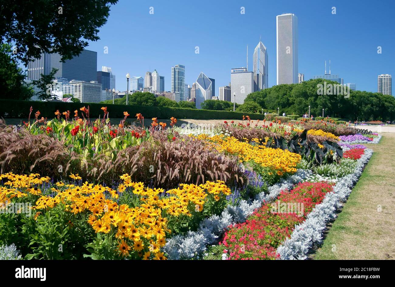 Chicago skyline viewed from Grant Park, Chicago, Illinois, USA Stock ...