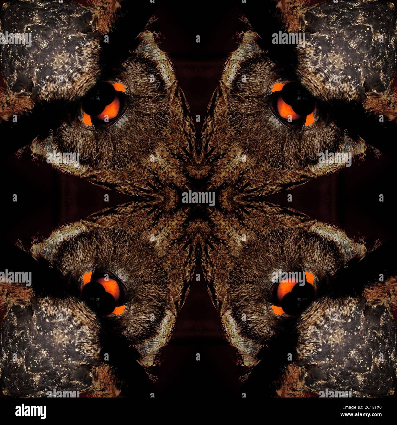 Seamless symmetrical pattern abstract fur feathers texture Stock Photo ...