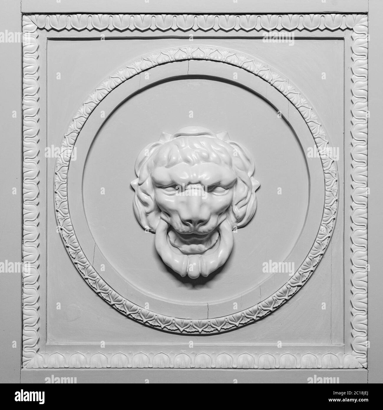 Lion head Black and White Stock Photos & Images - Alamy
