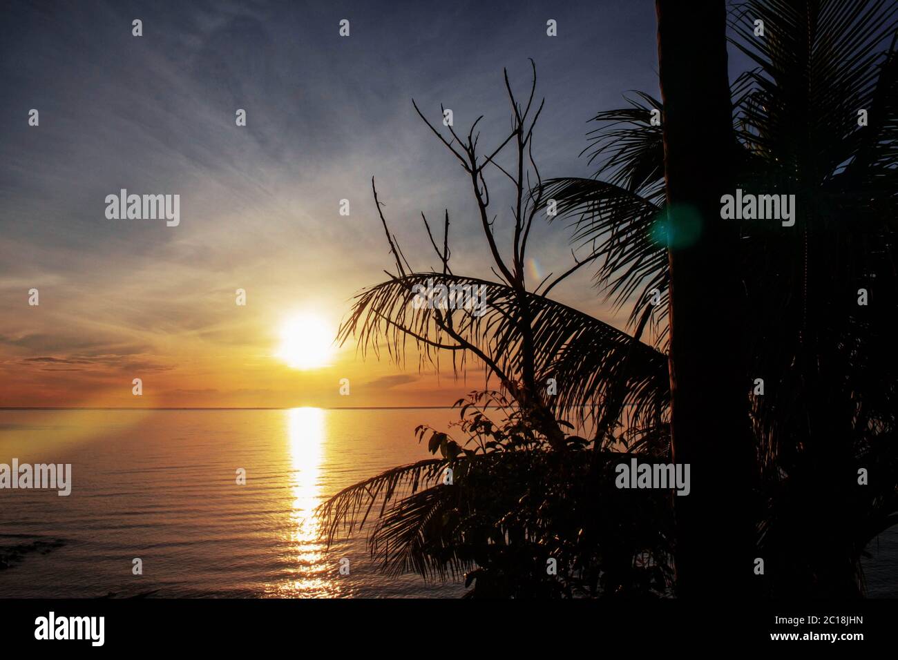 Coconut tree with sunset Stock Photo - Alamy