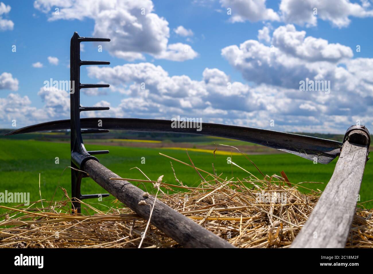 Rake and scythe on dried straw against a sunny blue sky with white ...