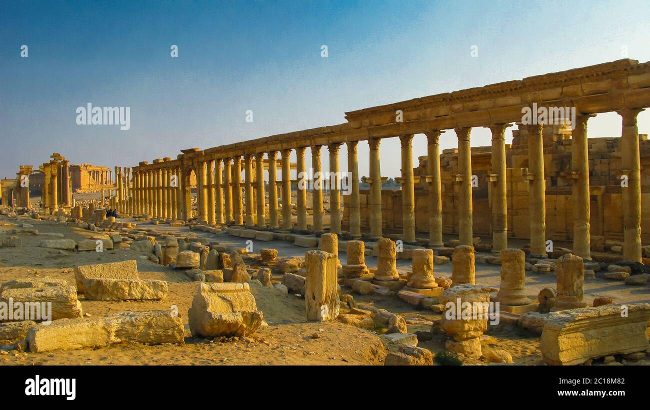 Panorama of Palmyra columns and ancient city, destroyed ISIS Syria ...