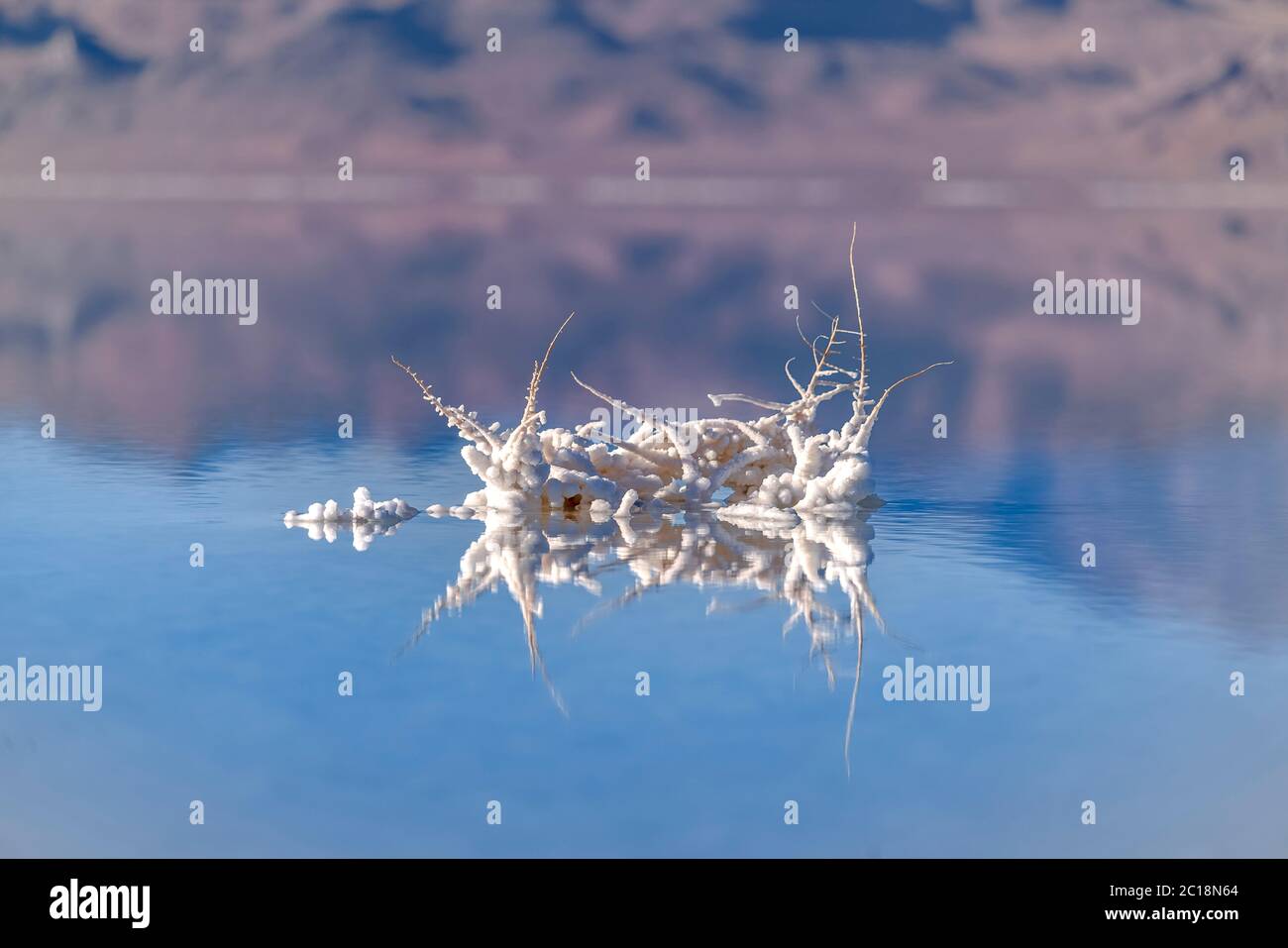 Crystallised water hi-res stock photography and images - Alamy