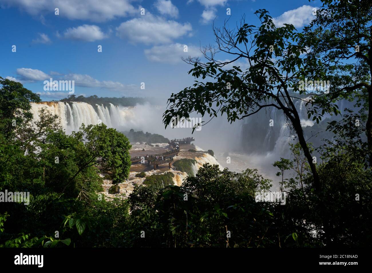Iguazu falls through the trees Stock Photo - Alamy