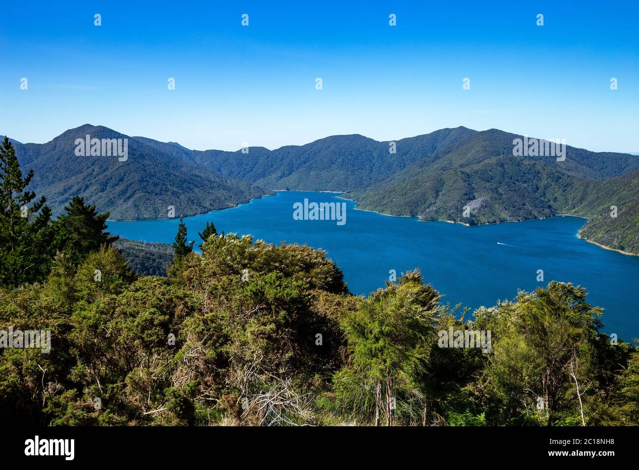 Endeavour Inlet, Tawa Bay, Malborough Sounds, South Island, New Zealand ...