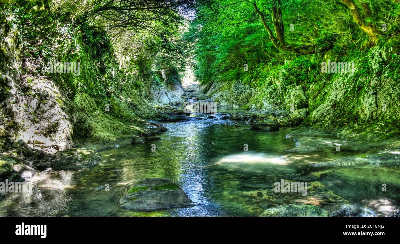 Panorama Green canyon of Machara river, Abkhazia Stock Photo - Alamy