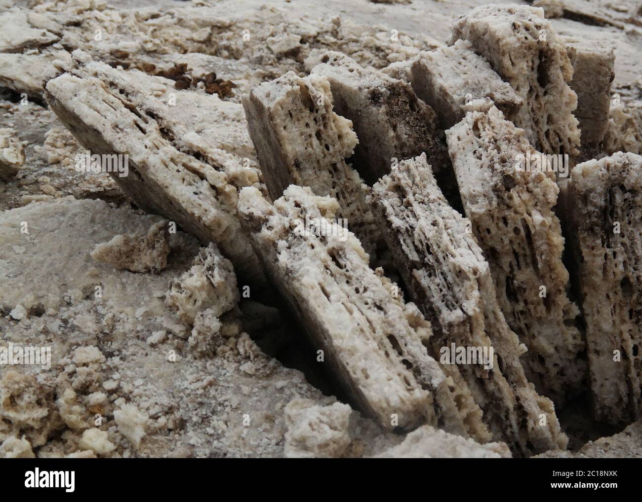 Afar region salt production hi-res stock photography and images - Alamy