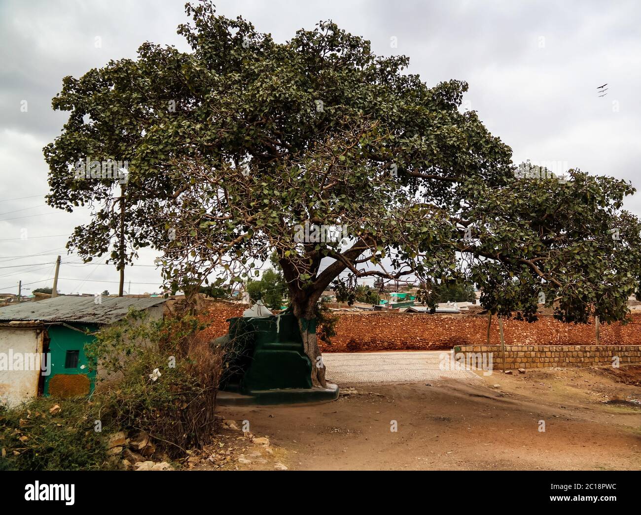 Harar tree mosque in Jugol old city, Harar, Ethiopia Stock Photo - Alamy