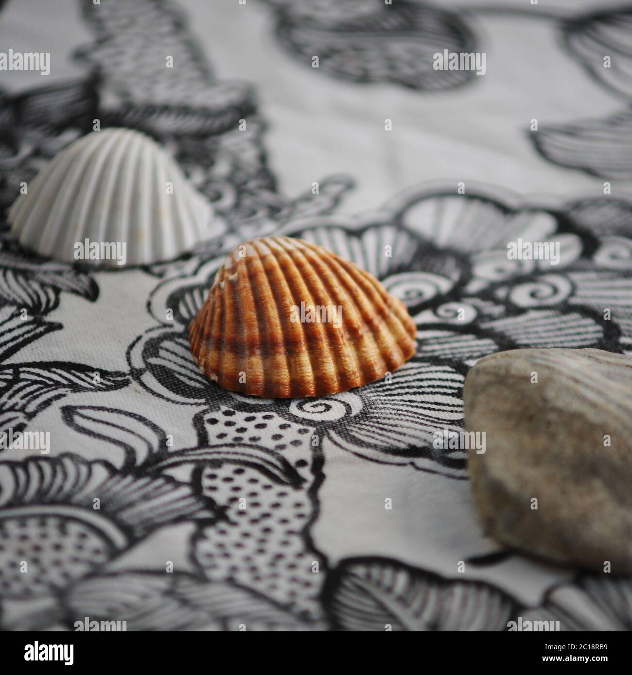 Shell decoration hi-res stock photography and images - Alamy