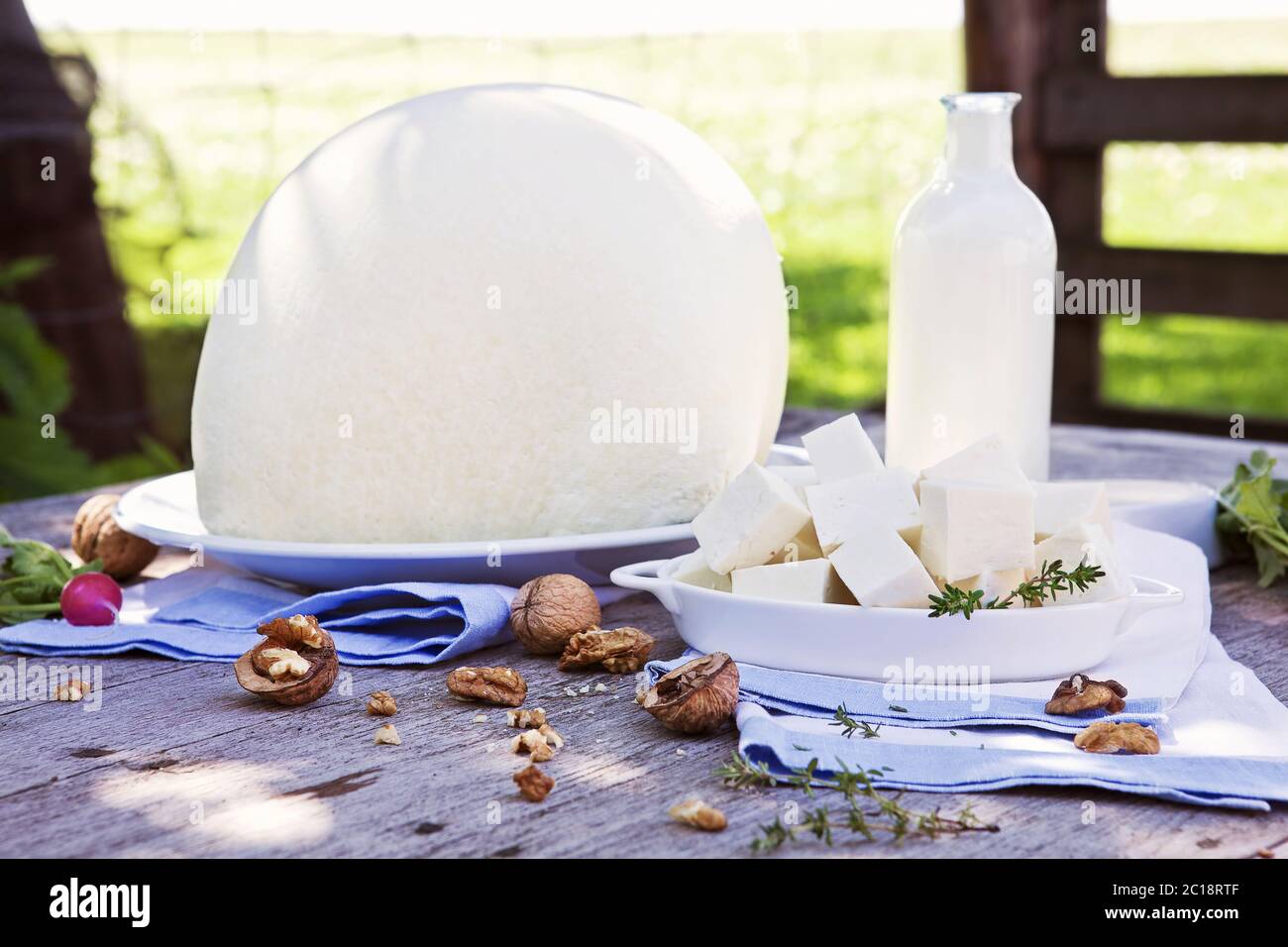 Traditional goat cheese still life Stock Photo - Alamy