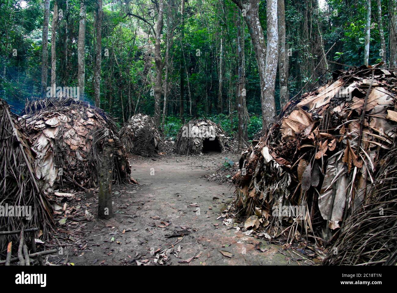 Baka tree hi-res stock photography and images - Alamy