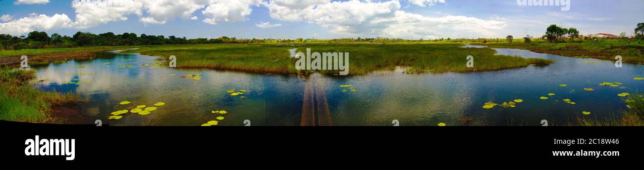 Bitumen and asphalt Pitch lake in Trinidad island, Trinidad and Tobago ...