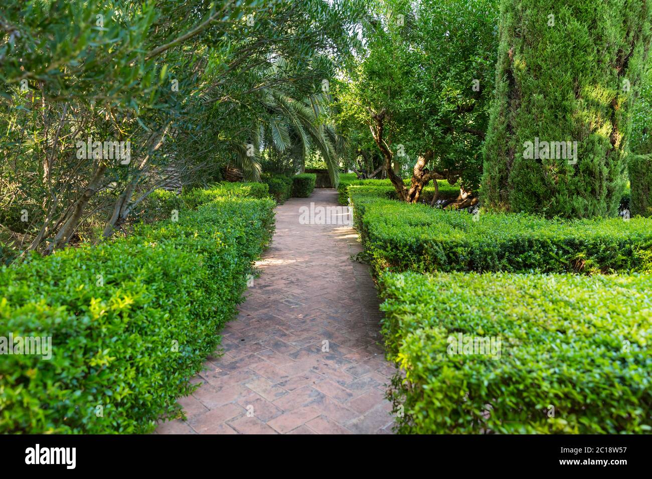 Mediterranean garden with footpath. Green foliage and palm trees Stock ...