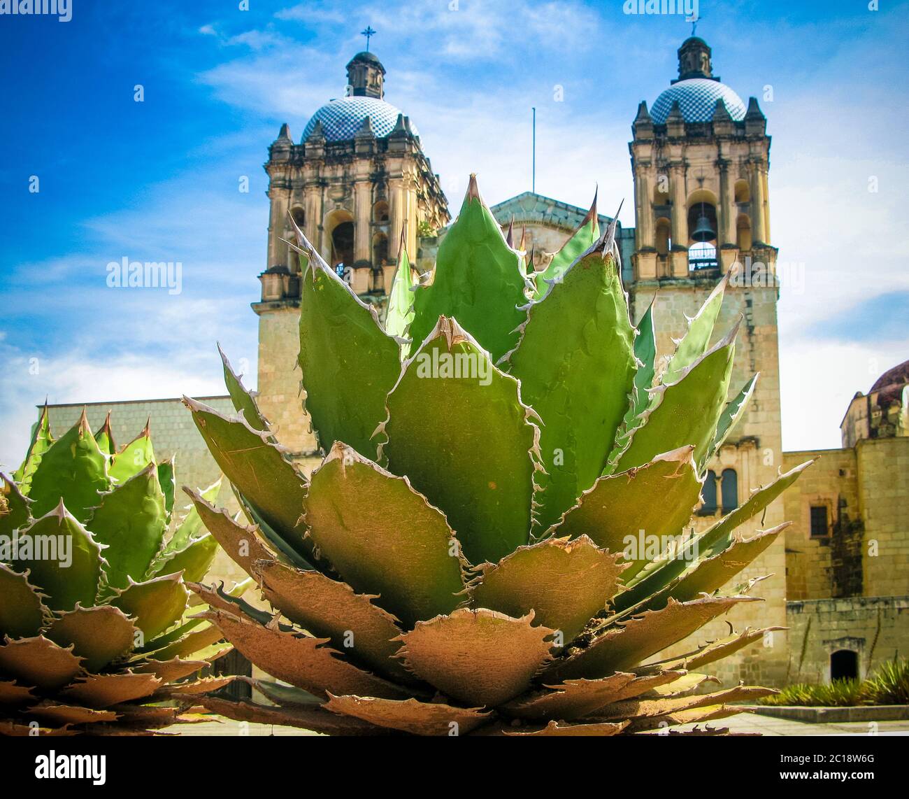 Agave plant mexico hi-res stock photography and images - Alamy