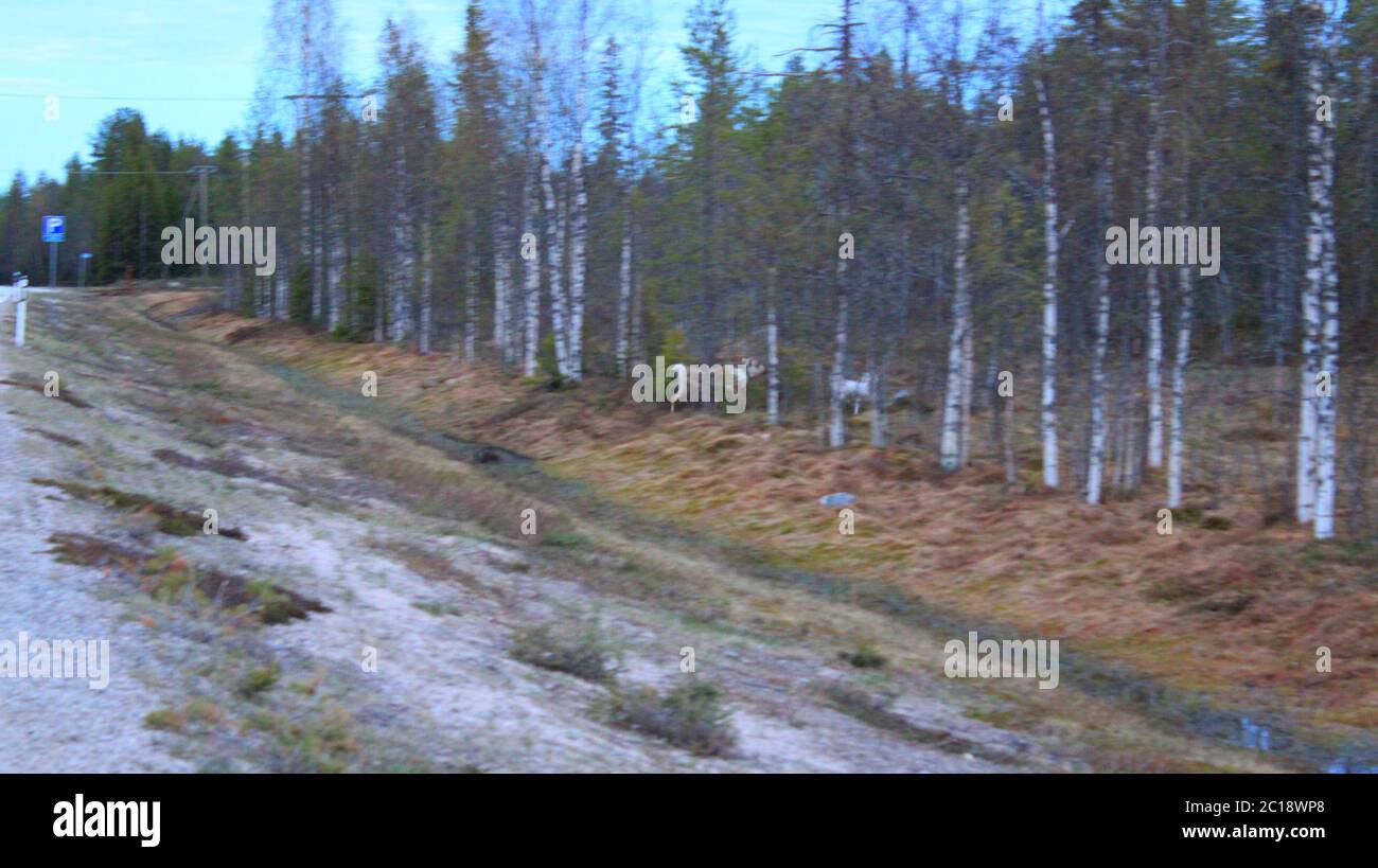 Pudasjarvi finland hi-res stock photography and images - Alamy