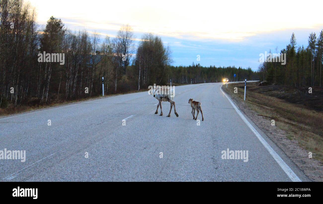 Pudasjarvi finland hi-res stock photography and images - Alamy