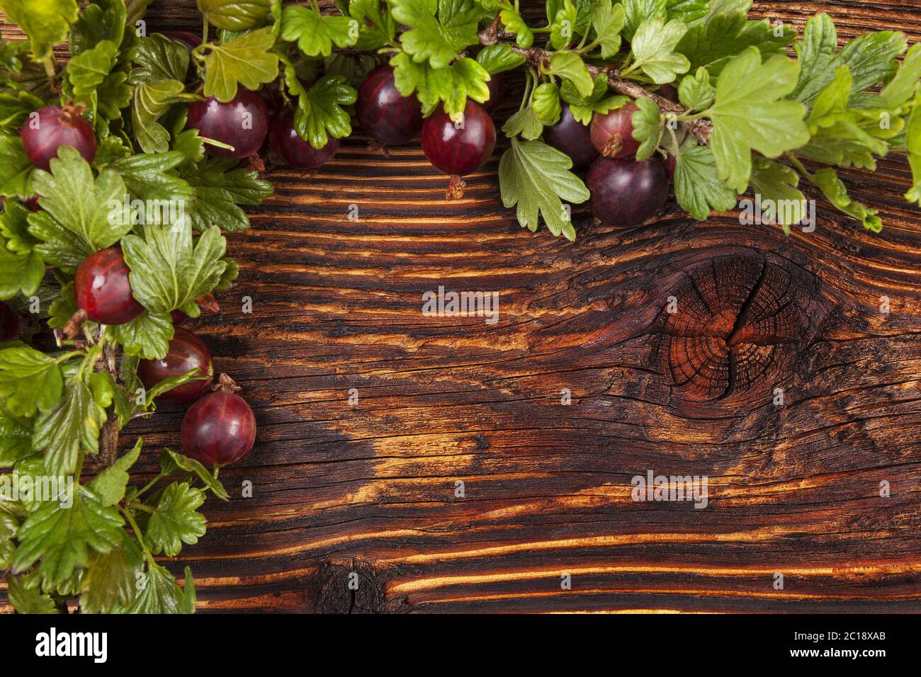 Gooseberry fruits hi-res stock photography and images - Alamy