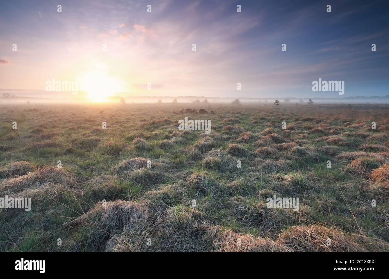 Sunrise over marsh hi-res stock photography and images - Alamy