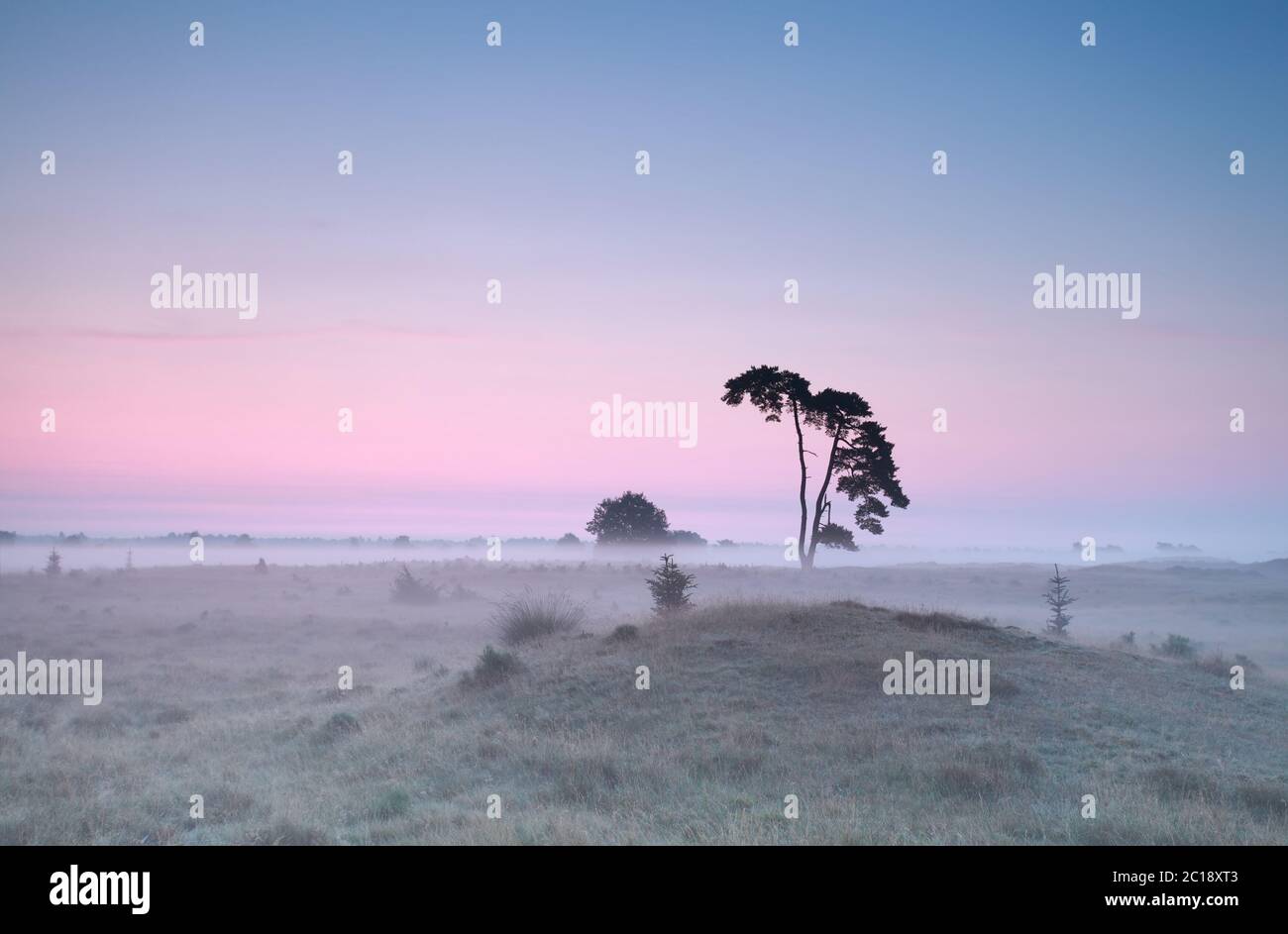Calm meadow hi-res stock photography and images - Alamy